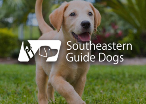 Website Design and Development in Richmond, VA | HeliumStudio